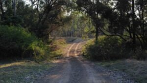 Kalpowar State Forest – All Over Australia