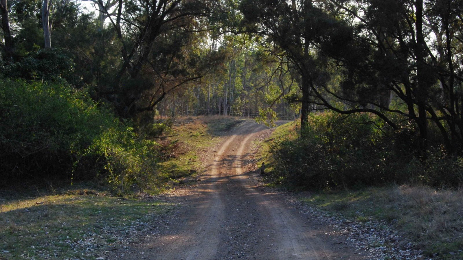 Kalpowar State Forest – All Over Australia