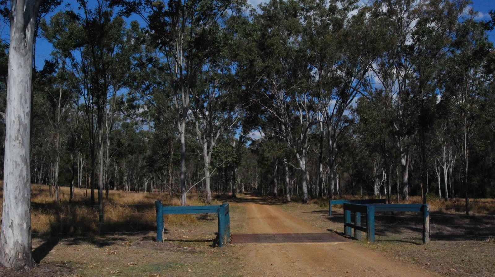 Kalpowar State Forest | All Over Australia