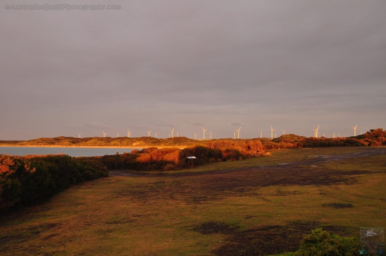 Musselroe Wind Farm – All Over Australia