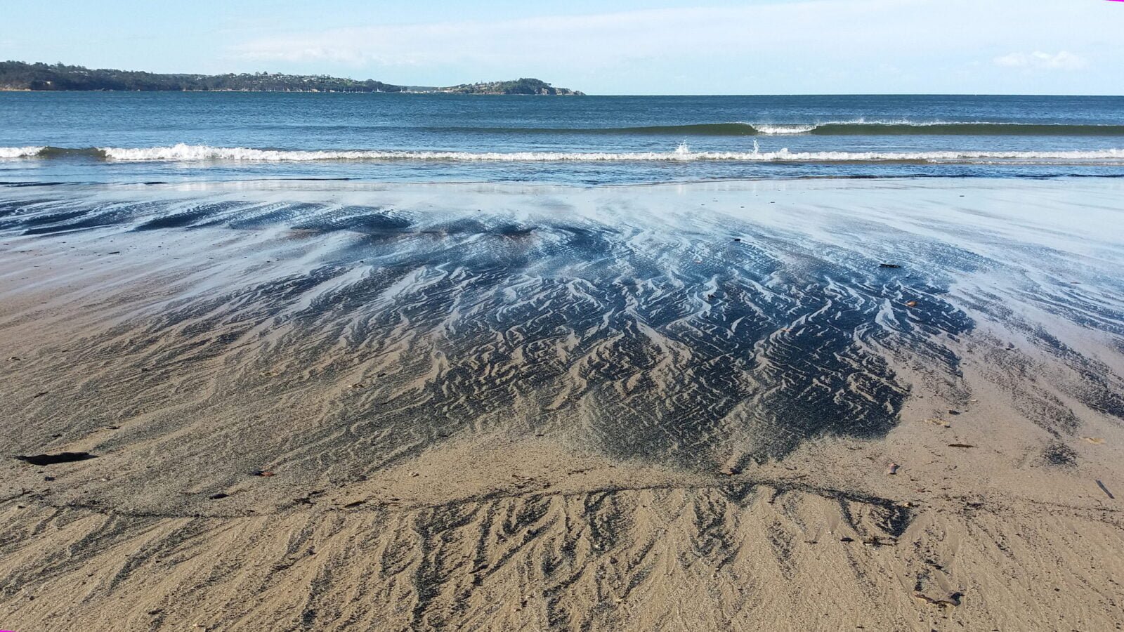 Boydtown Beach -Shells and Other Things – All Over Australia