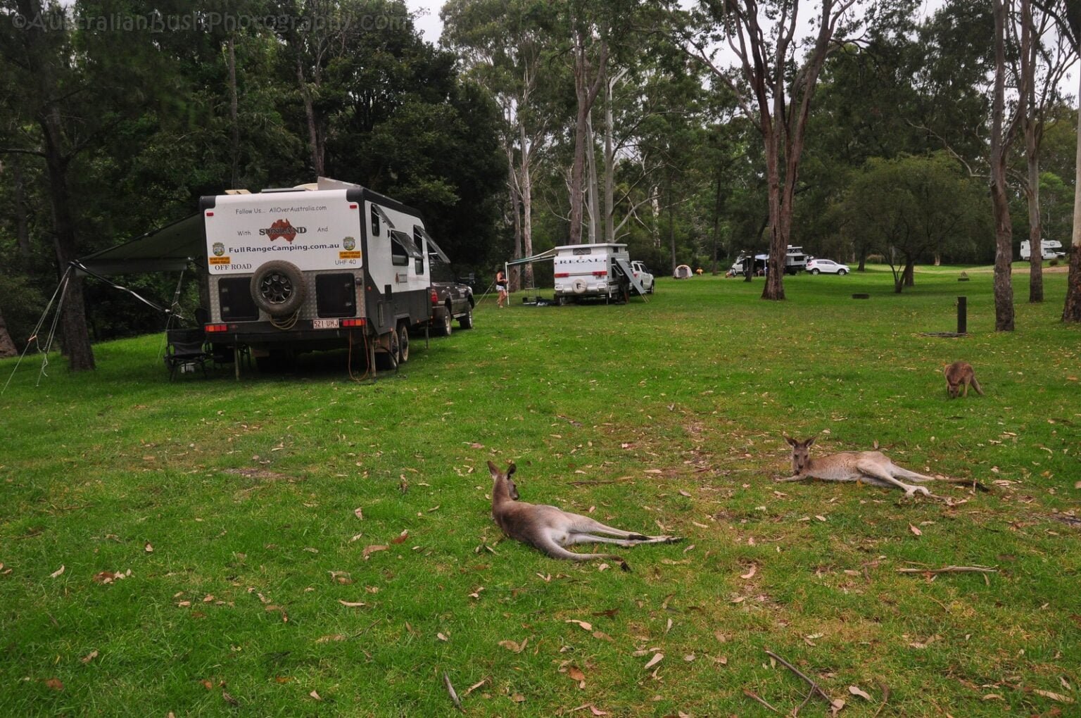 Jimna State Forest – All Over Australia