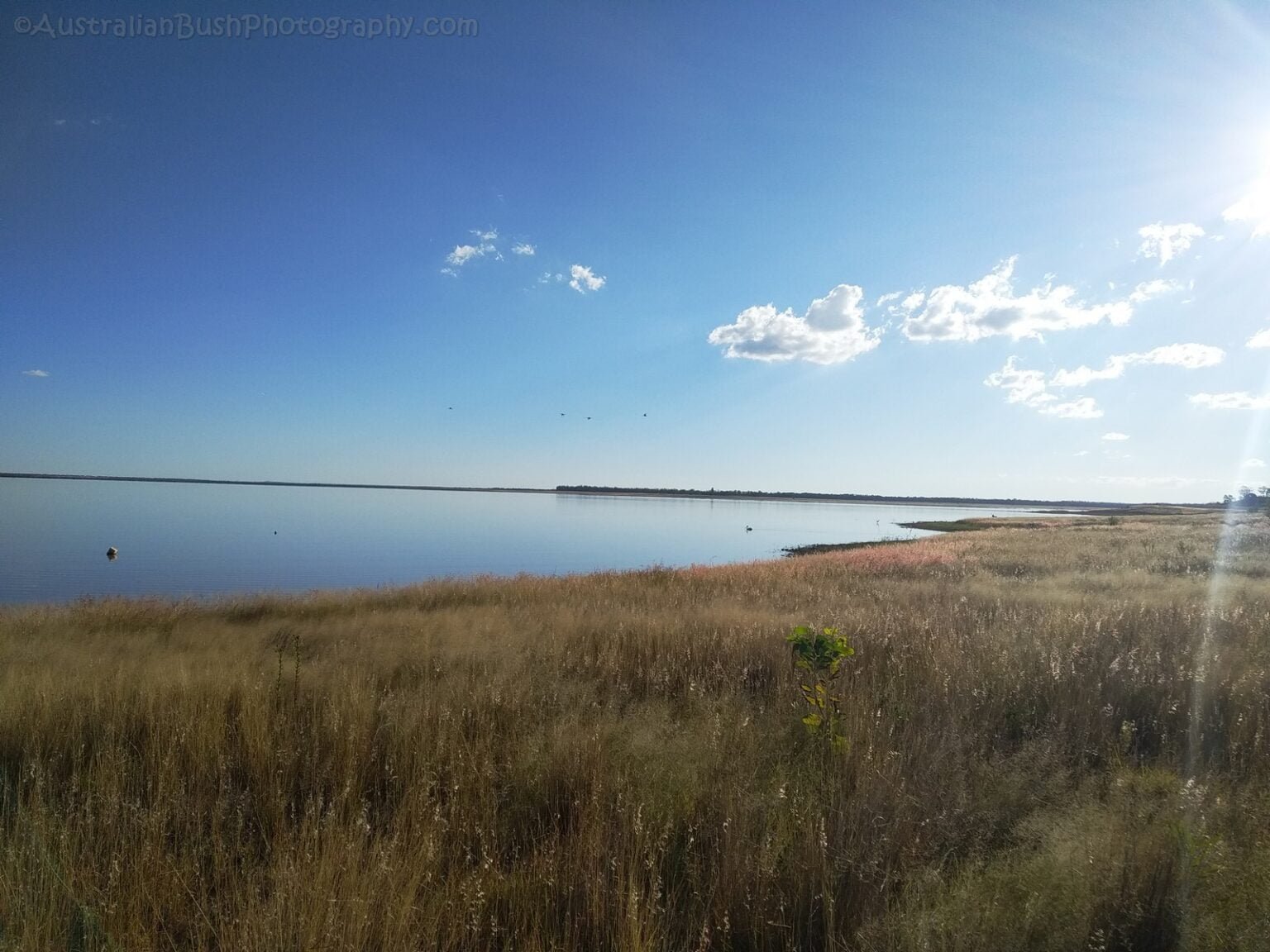 Lake Maraboon – All Over Australia
