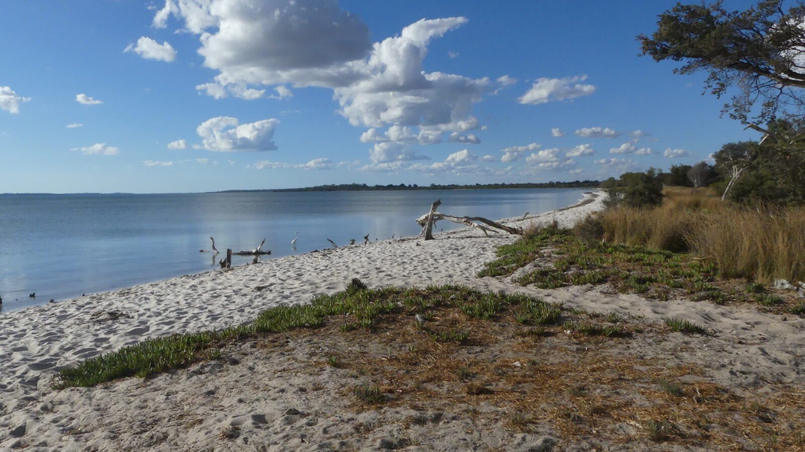Herron Point – All Over Australia
